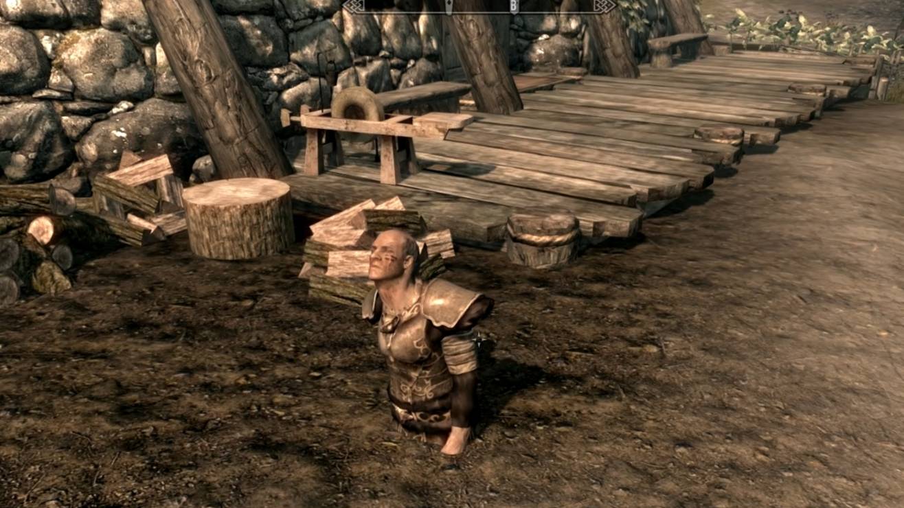 The Elder Scrolls V Skyrim. Половина Скьора гуляет по Скайриму. Прохождение от SAFa