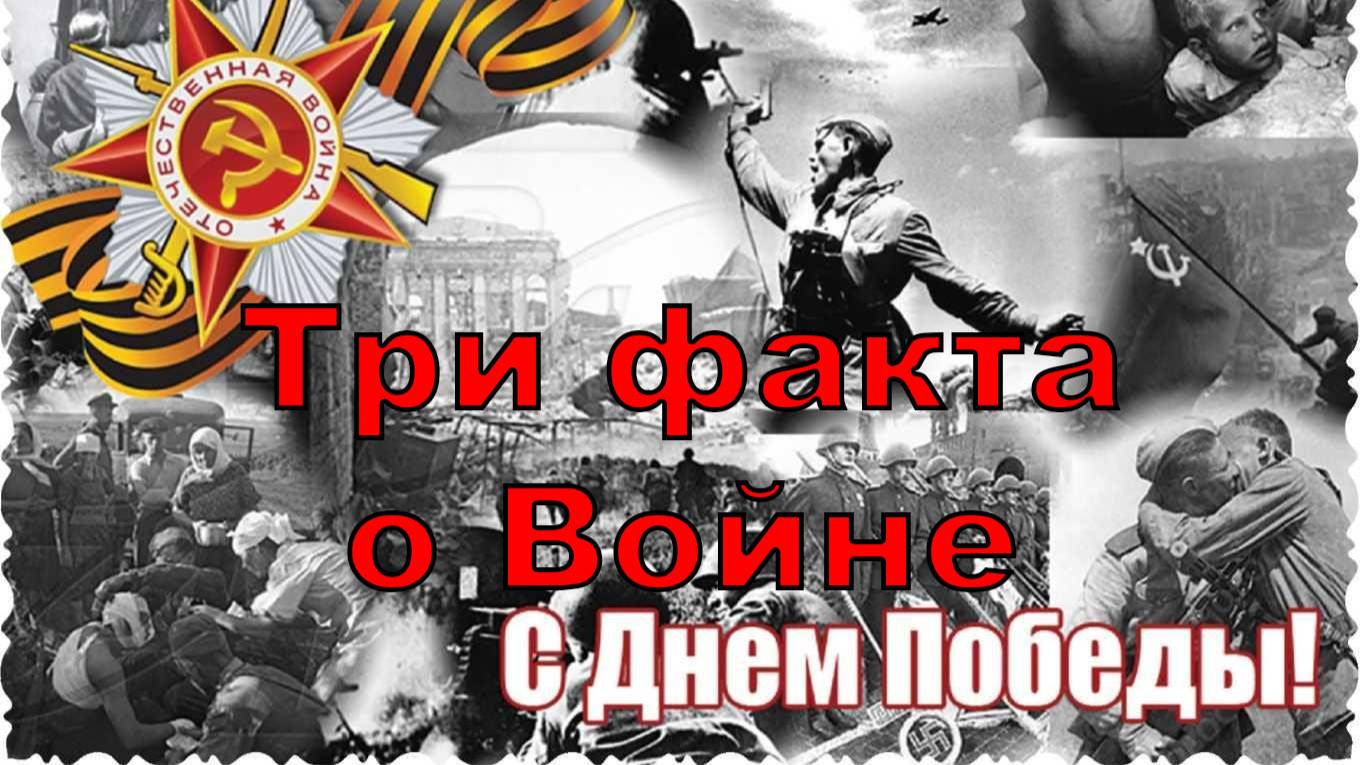 Чат рулетка. Три факта о войне.