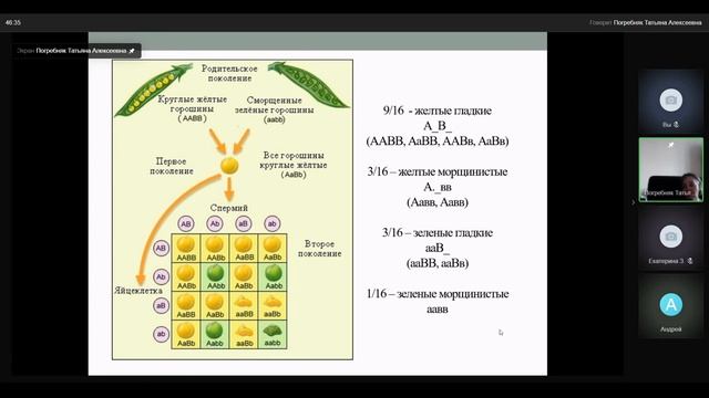Биология 11 класс разбор заданий часть 2 по биологии