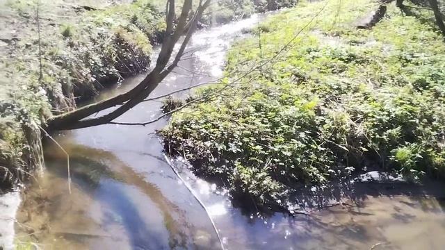 песня Vita 💧🏞️(водичка-вода)на прогулке в лесу👀🙏💖✨😍