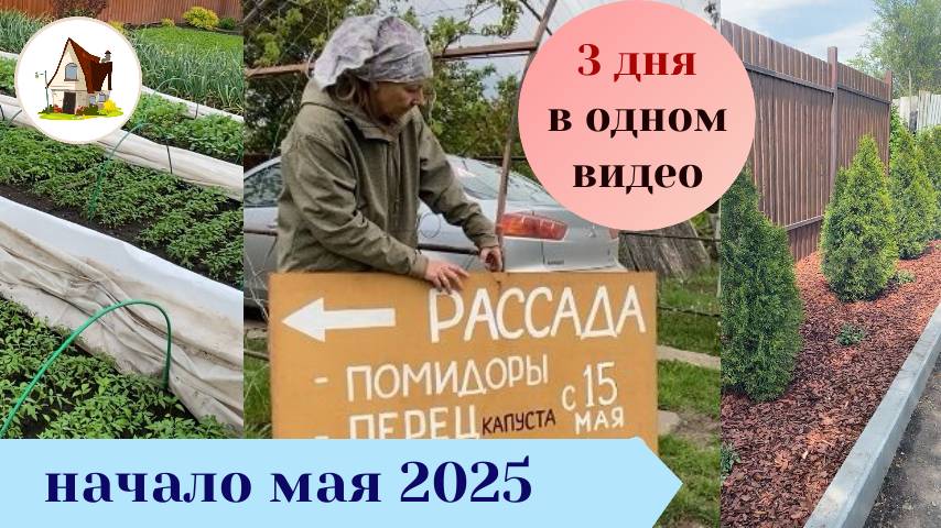 Мульчирование корой. Рассада на продажу. Архив 4-6 мая 2025.