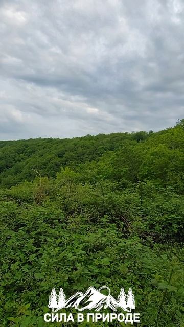 Природа России