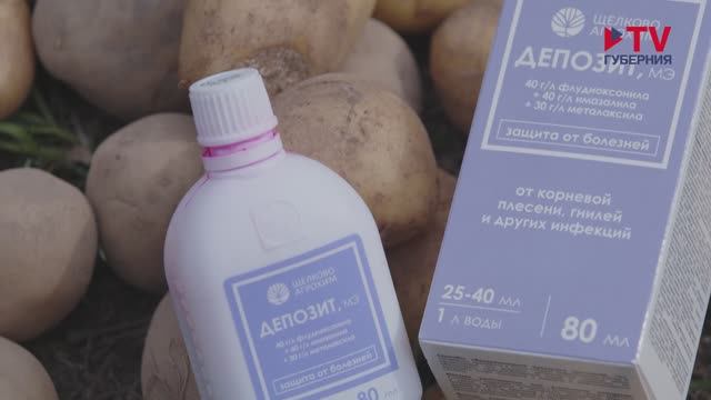 Качественный урожай картофеля без трудностей