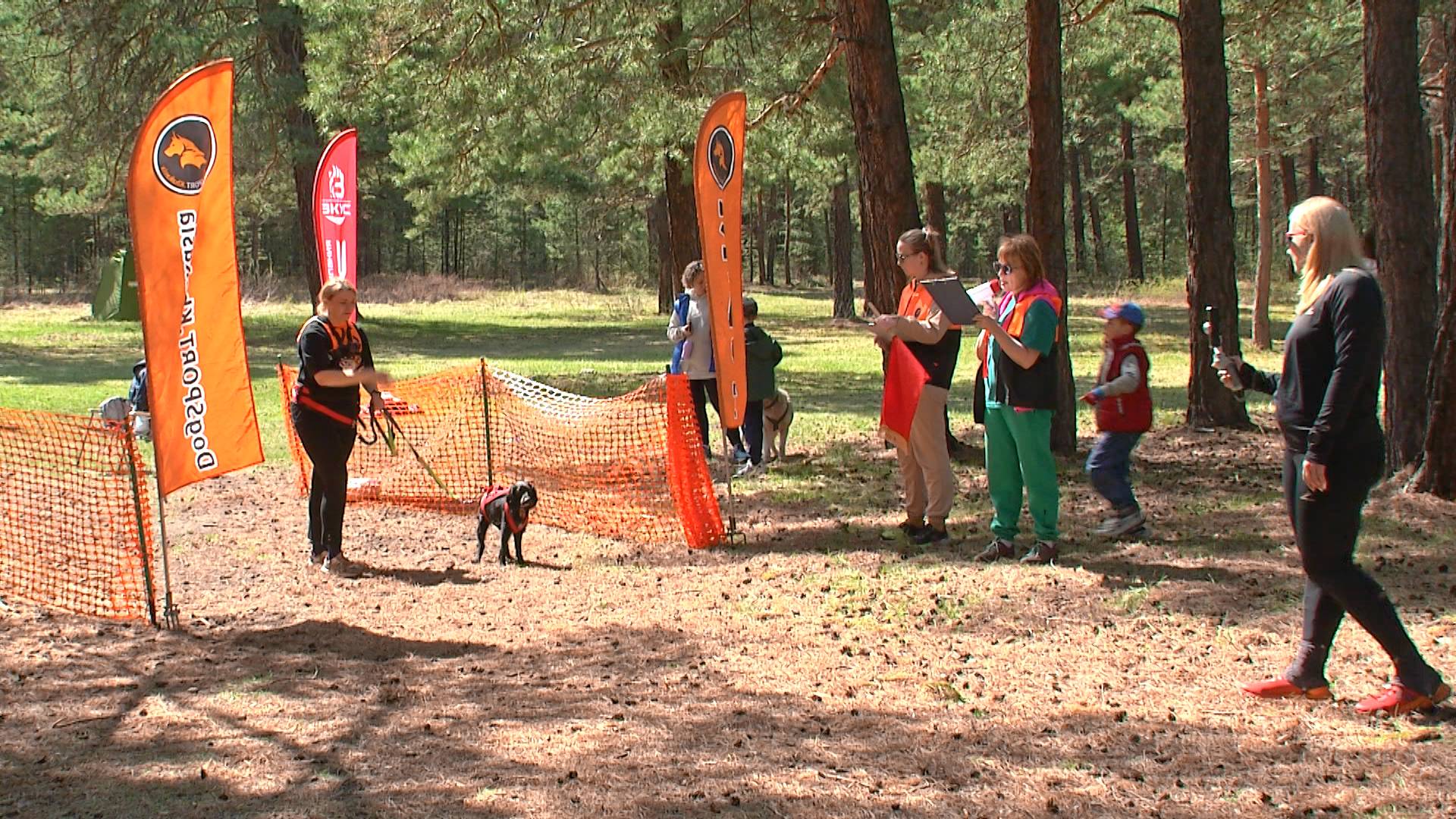 Лапы, ноги и педали - в программе "Дело ведёт Мур-р-р"