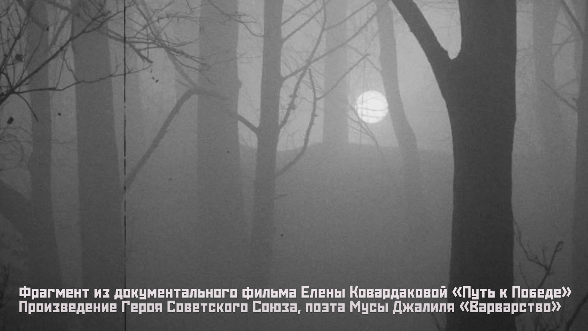 Произведение «Варварство» Мусы Джалиля. Фрагмент из док. фильма Елены Ковардаковой «Путь к Победе»