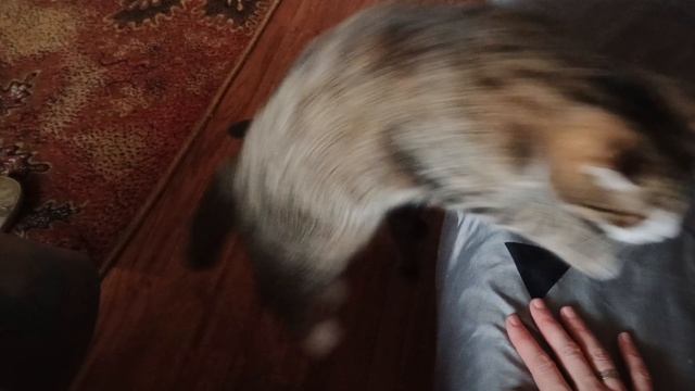 Влог! Теперь мне светло.