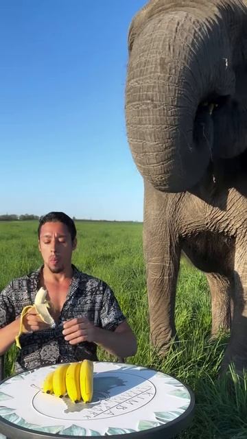 О, бананчики. Давай делись!