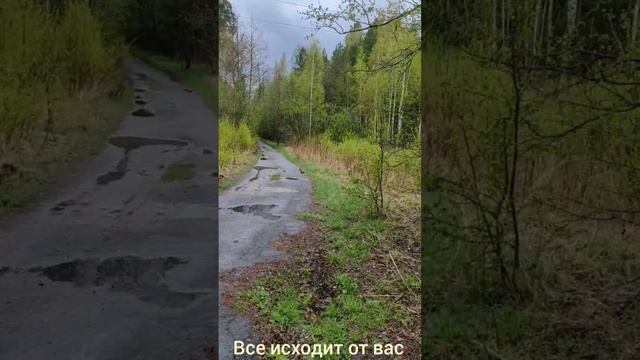 Всё исходит от вас Роберт Адамс