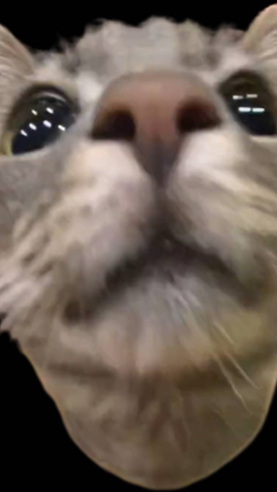 Может снять???