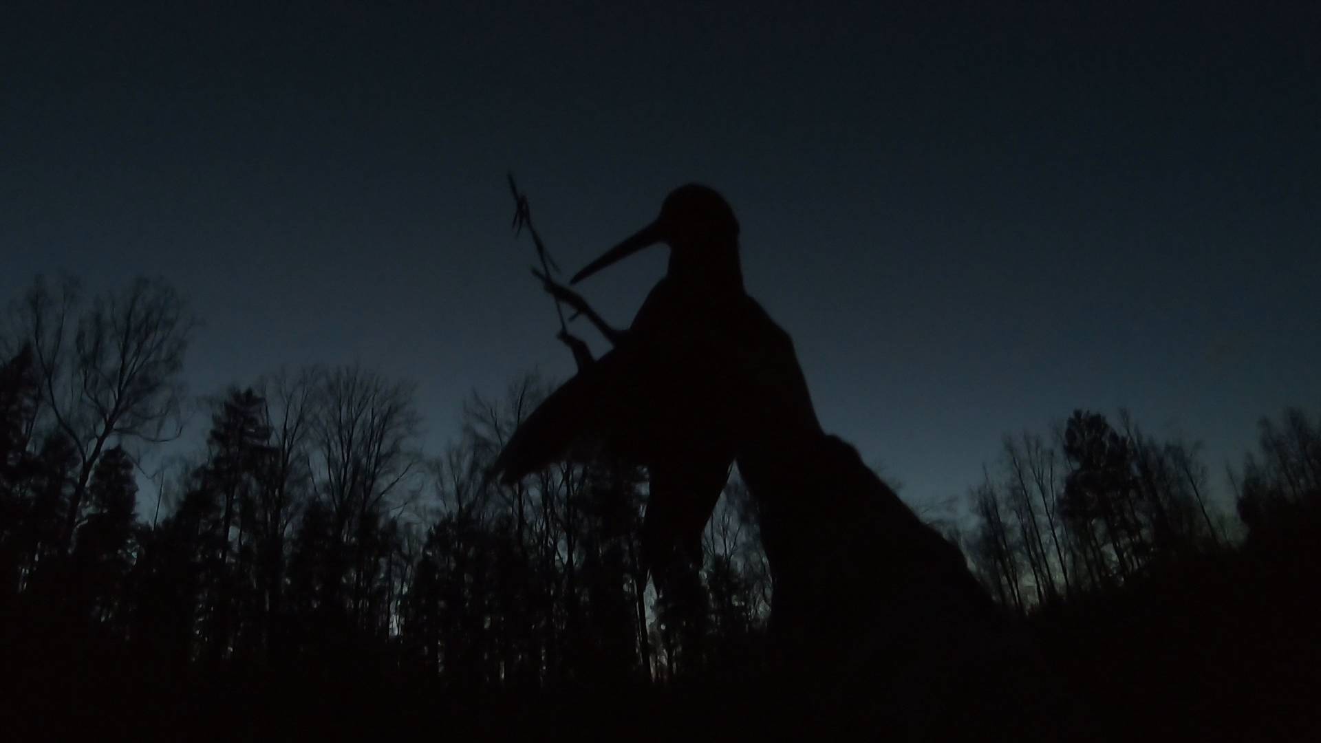 Весенняя охота на вальдшнепа 2025