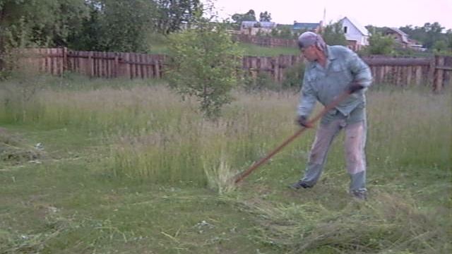Косьба простой ручной косой.