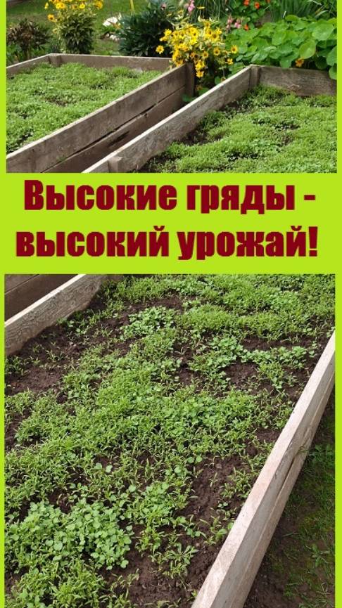 Почему ВЫСОКИЕ ГРЯДЫ на огороде - гарантия высокого урожая?