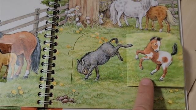 Детский зооопарк с окошками