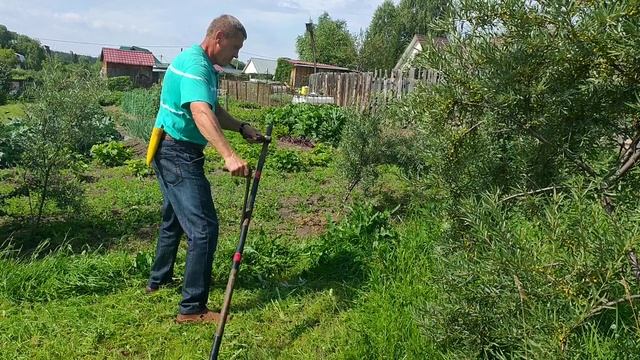 Коса Falci 100 хороша на разной траве.