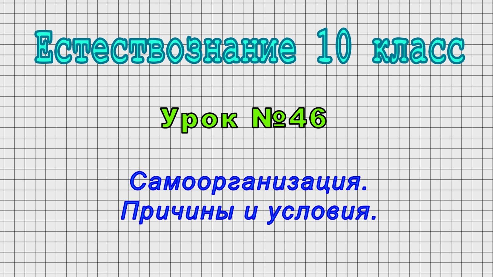 Естествознание 10 класс (Урок№46 - Самоорганизация. Причины и условия.)