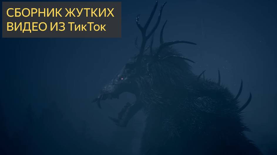 СБОРНИК ЖУТКИХ ВИДЕО ИЗ ТИК-ТОК