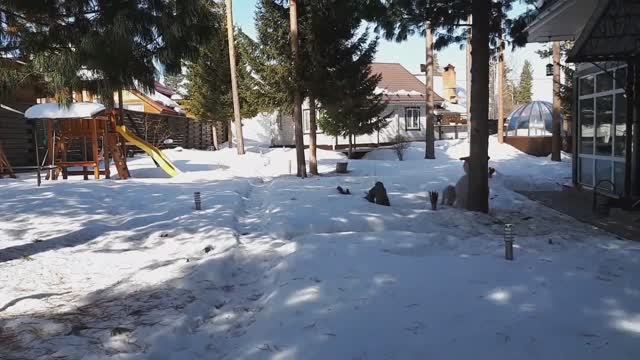 Первые работы в теплице 11 марта.Сею салат, шпинат, рукколу.