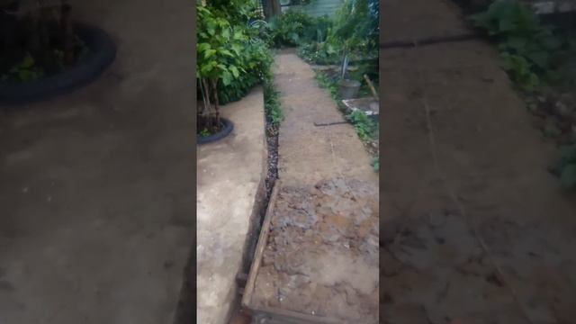 Обновляю ...