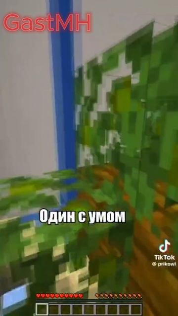 #minecraft #ржака #анекдот