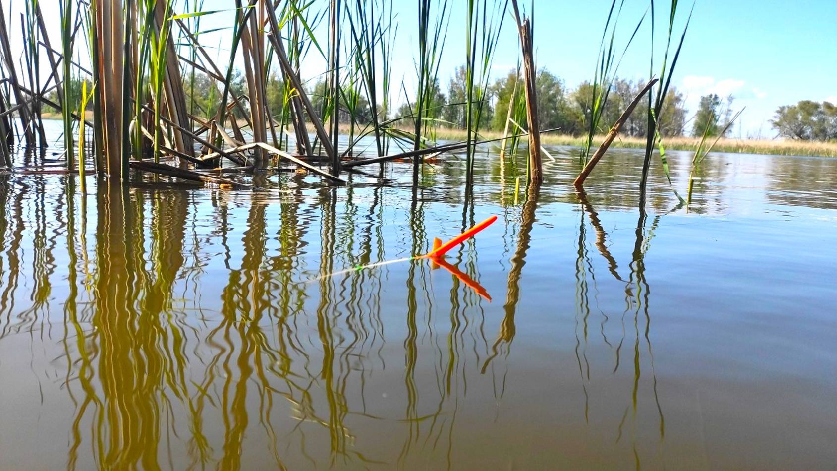 Крупный карась сазан - КОРЫТО ЗА ЧАС!!!! Рыбалка на поплавок весной