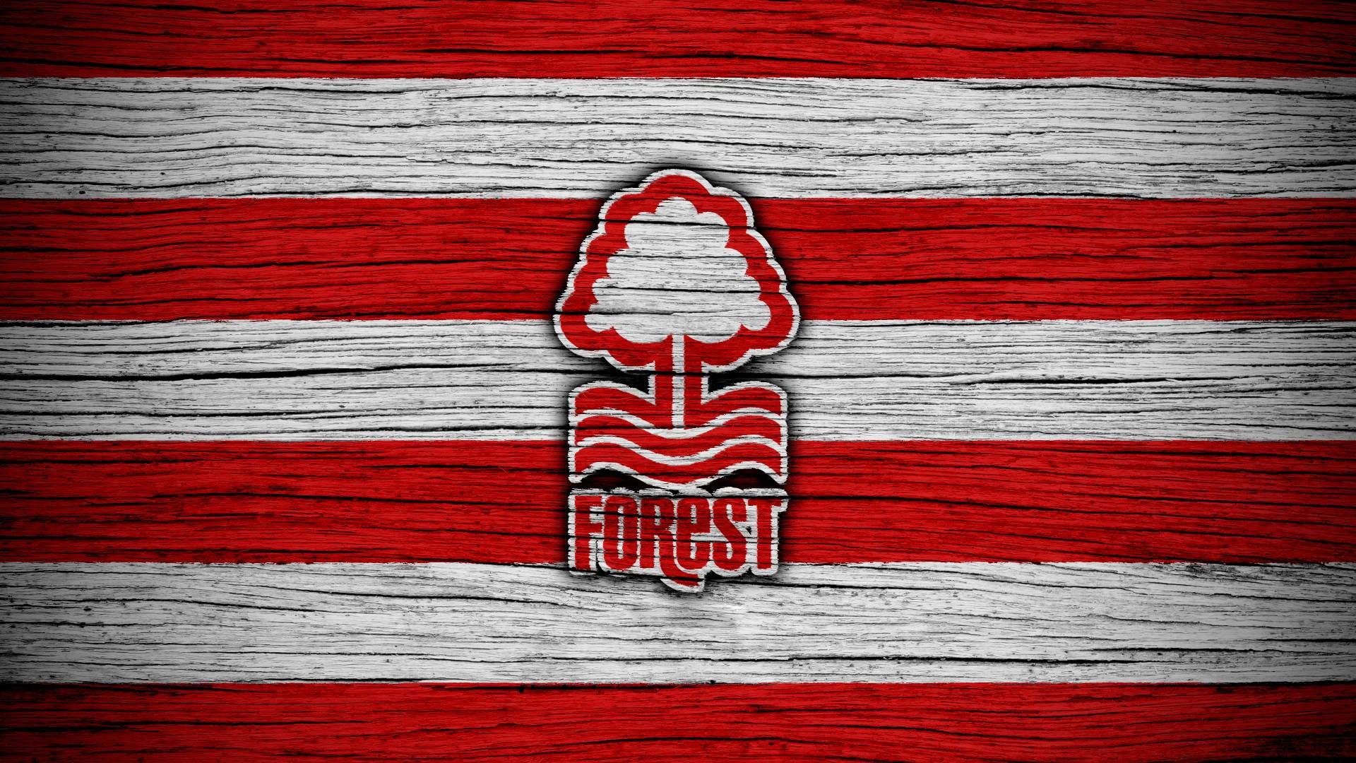 31-й тур Вулверхэмптон-Ноттингем Форест