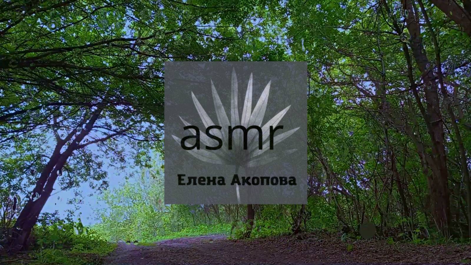 Расслабляющее пение птиц и звук дождя в тиши арки из деревьев