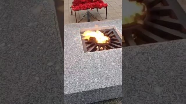 Невский мемориал Журавли , зажгли вечный огонь