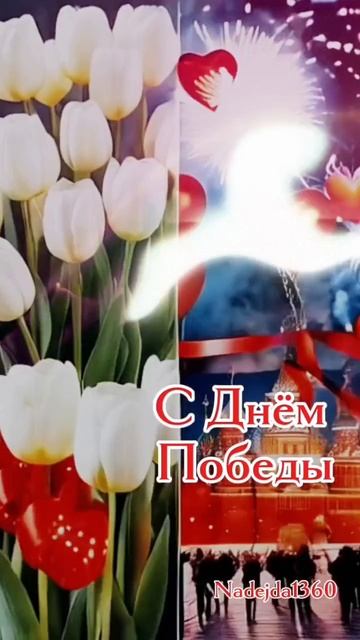 С Днём Победы!Праздничный салют!