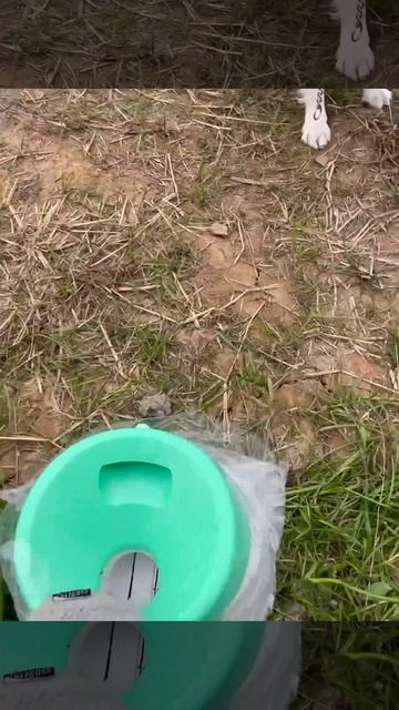 Автоматическая машина для метания мячей