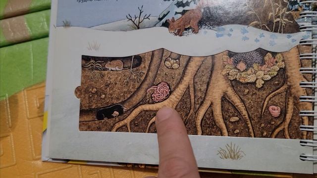 Времена года с окошками