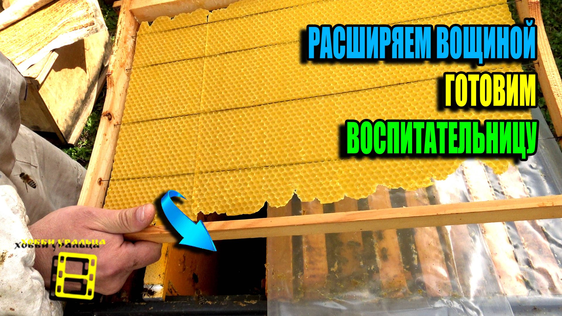 РАСШИРЕНИЕ ПЧЕЛОСЕМЕЙ ВОЩИНОЙ. ПОДГОТОВКА СЕМЬИ ВОСПИТАТЕЛЬНИЦЫ ДЛЯ ВЫВОДА МАТОК ПЧЕЛОВОДСТВО 25-17