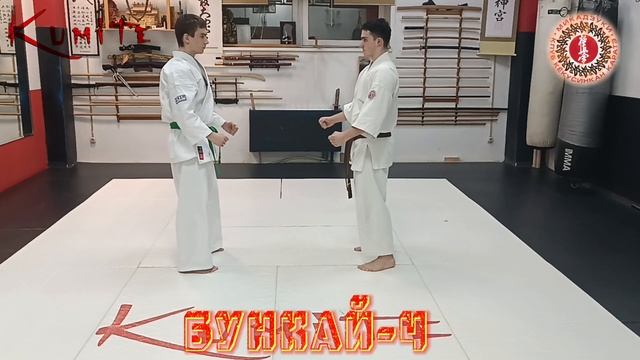 Рома-Никита (бункай 1,2,3,4,5,6)