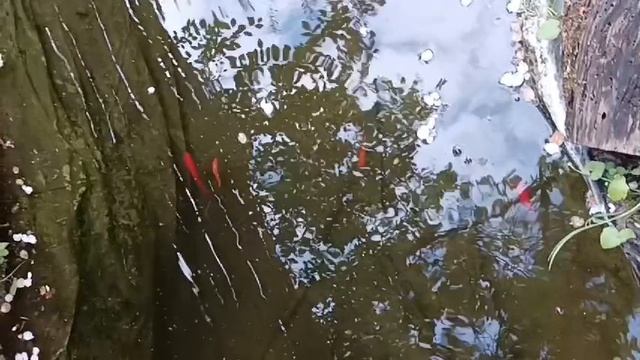 вот вы прибыли на место...