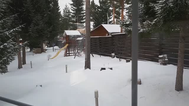 Как обогреть теплицу весной.  Инфракрасные обогреватели.