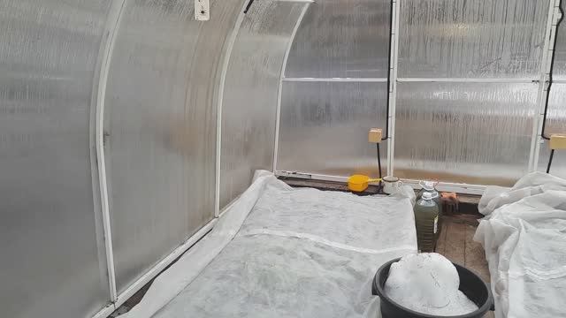 Температура в теплице. Огород без перекопки - это возможно.