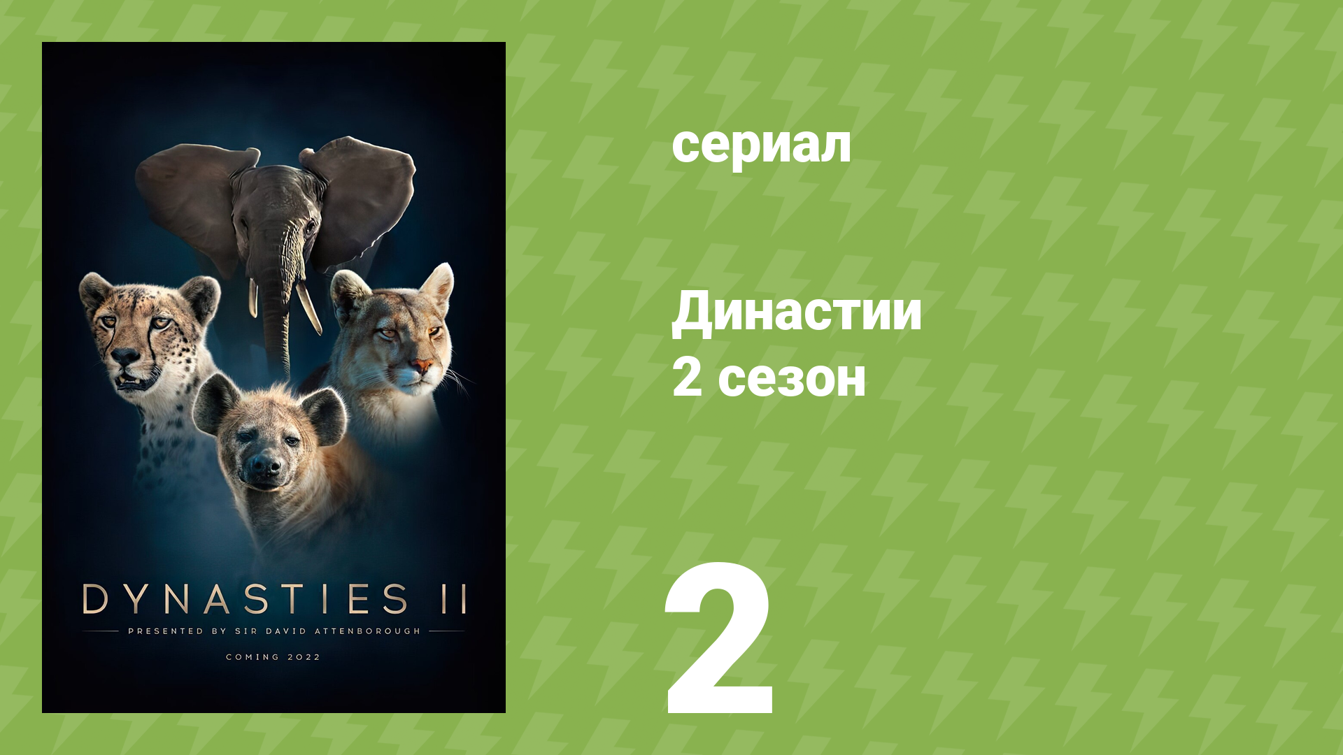 Династии 2 сезон 2 серия «Слон» (документальный сериал, 2022)