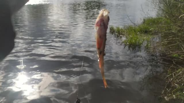 Зарисовки с первой рыбалочки в 2025