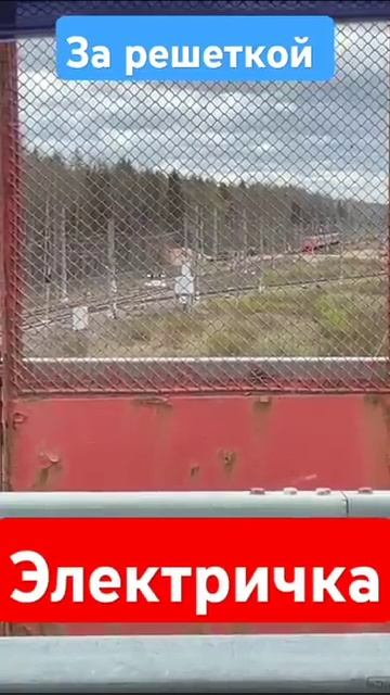 электропоезд за решеткой #поездавидео #железнаядорога #train #поезд.mp4