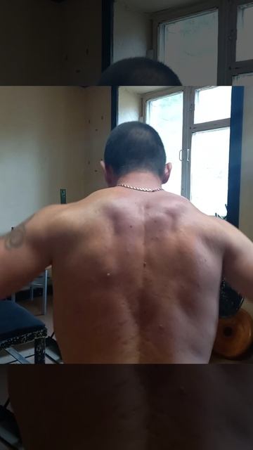 задние дельты