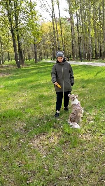 БК Рокси - первые флипы