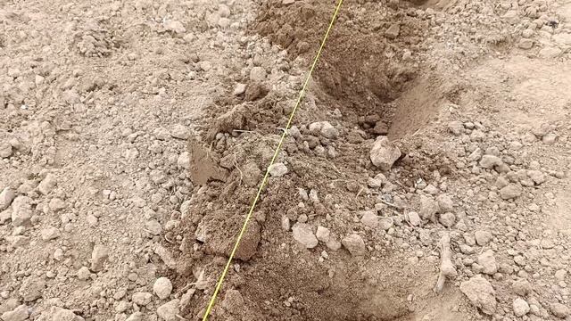 Посадка картофеля сдвоенными рядками. Все плюсы этого способа посадки