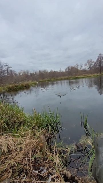 Ловля щуки удочкой на малой реке поздней осенью