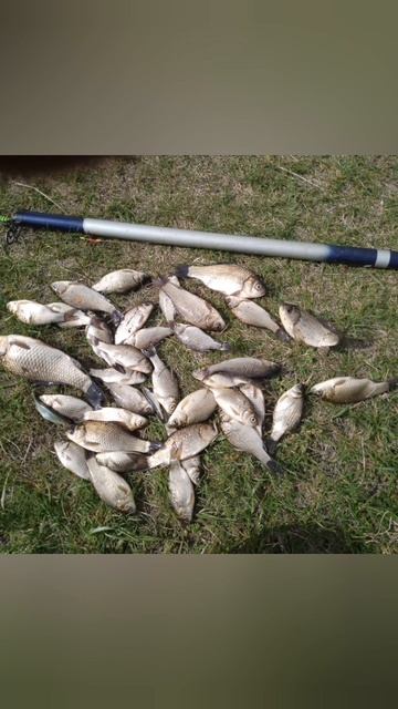 Боковой кивок на мормышку🎣 Наживка опарыш.