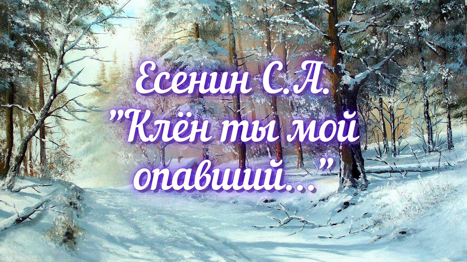 Есенин С.А. Клён ты мой опавший...