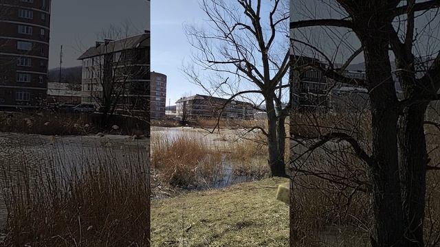 ГОРЯЧИЙ КЛЮЧ ВЕСНОЙ. У ОЗЕРА