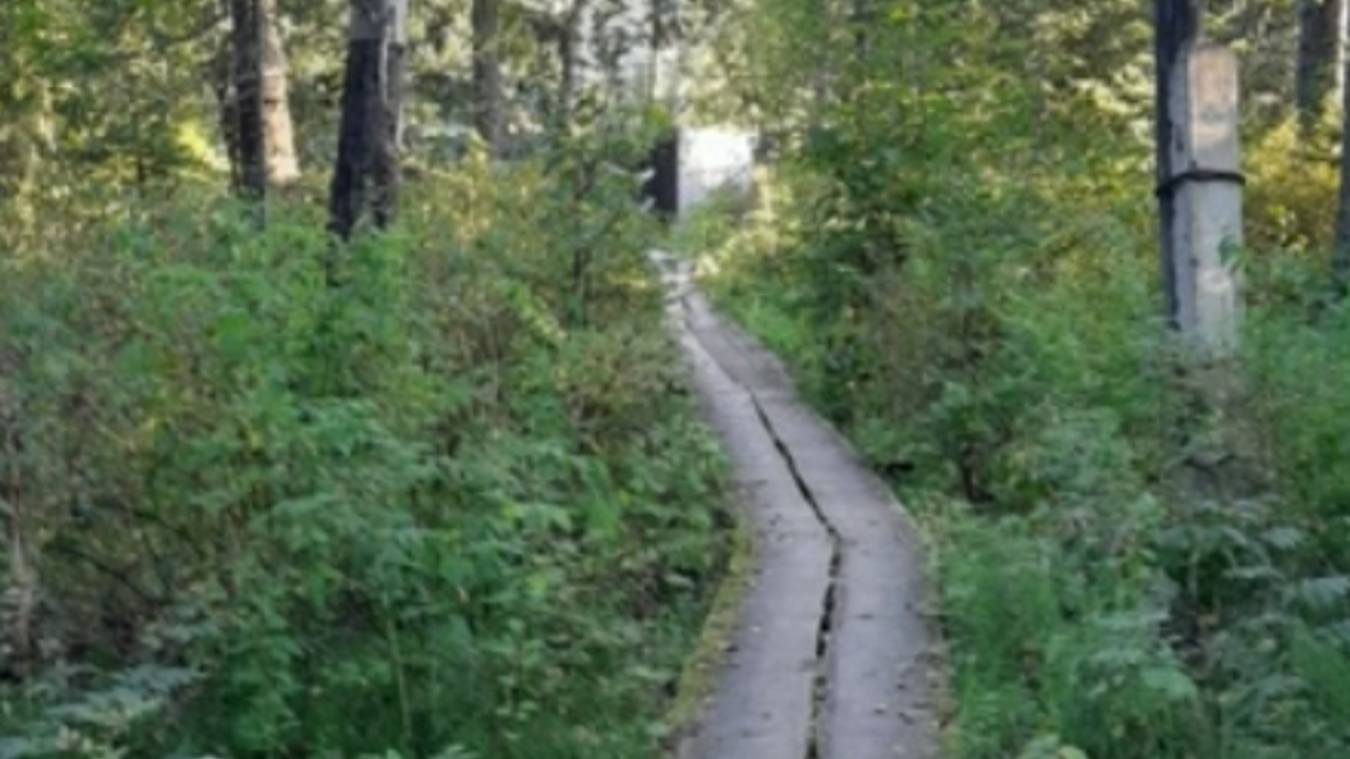 20250505  Пою в пути к 80-летию Победы.  Десятый наш десантный батальон