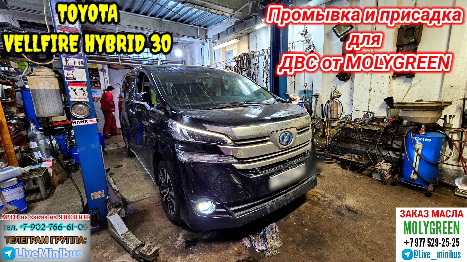 Обслуживание TOYOTA ALPHARD HYBRID: промывка-масло-присадка и всё от MOLYGREEN.