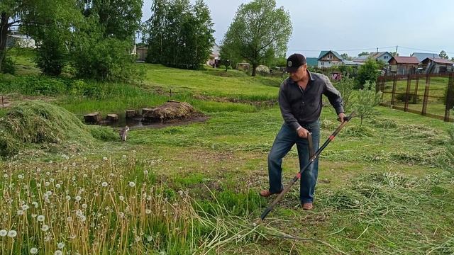 Косьба в низине. Коса 70см. 1 часть