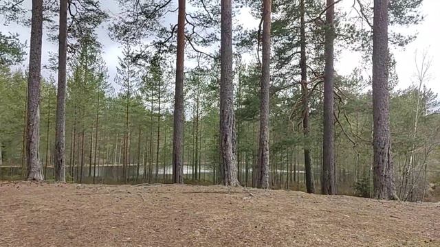 Маршрут Лемболово-Орехово