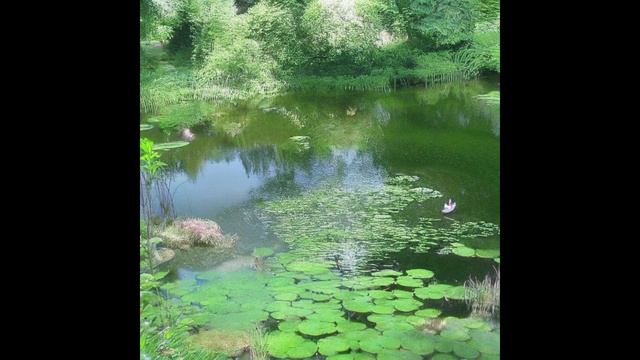 Спор о языках. Рассказ.